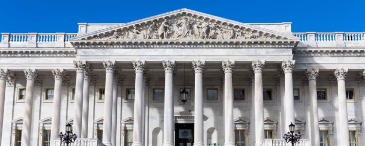 Careers at Demand Justice